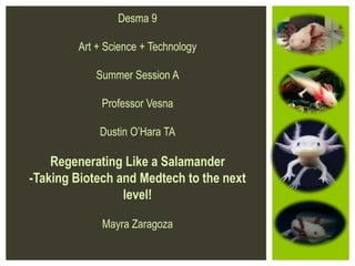 Desma 9 Final | PPT