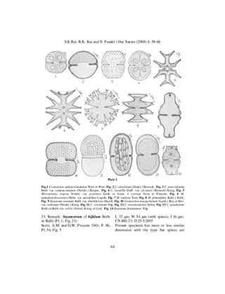 Desmids From Bees Hazar Lake, Chitwan, Nepal | PDF