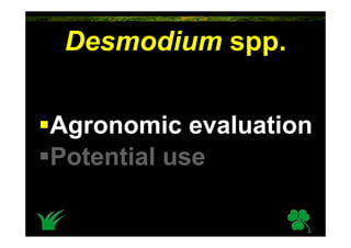 Desmodium Spp. | PDF