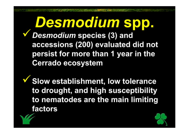 Desmodium Spp. | PDF
