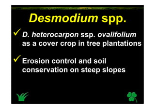 Desmodium Spp. | PDF