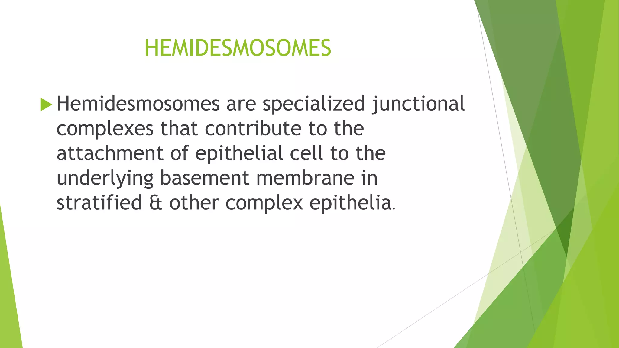 Desmosomes & hemidesmosomes | PPTX
