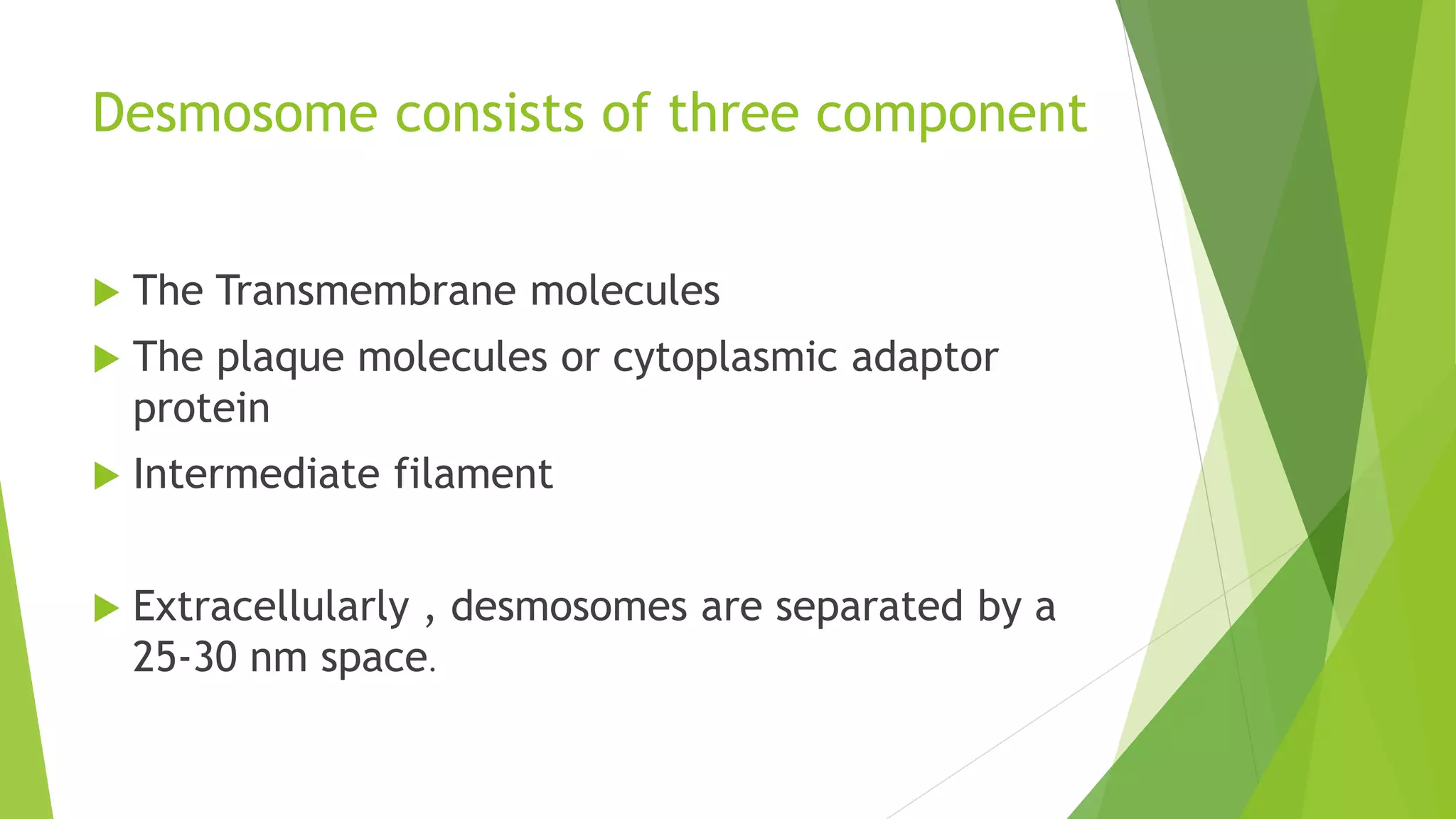 Desmosomes & hemidesmosomes | PPTX