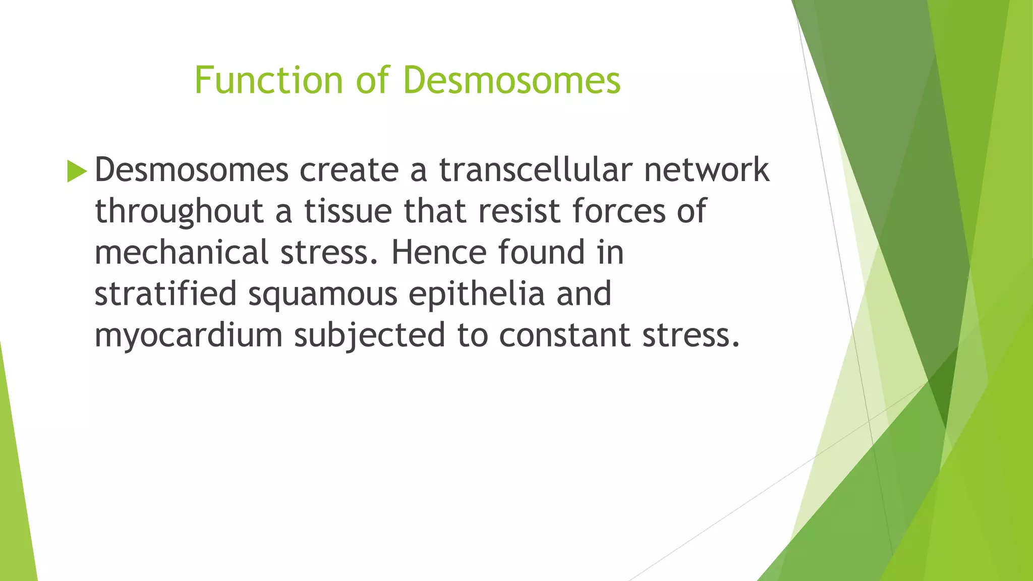 Desmosomes & hemidesmosomes | PPTX | Biological Sciences | Science