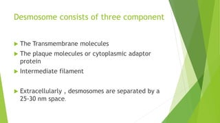 Desmosomes & hemidesmosomes | PPTX