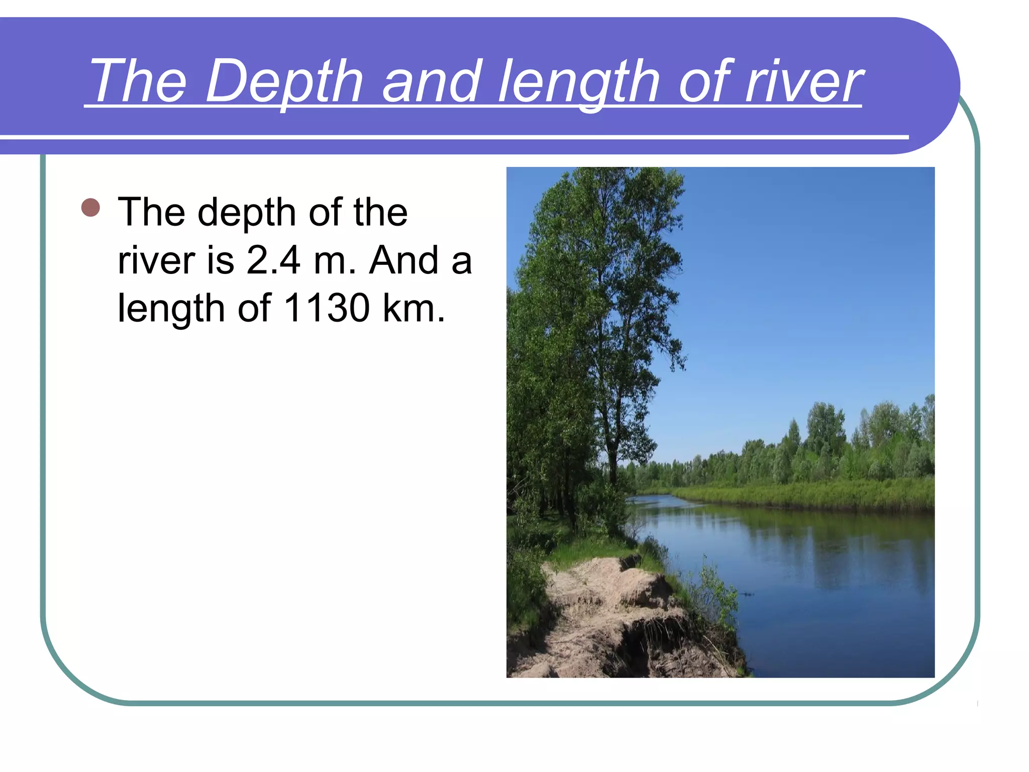 The Desna | PPS | Fish and Aquariums | Pets