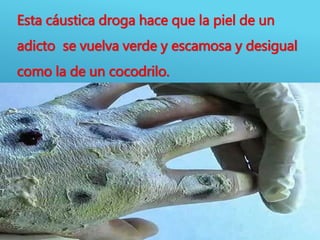 Desomorfina (Droga Krokodil) | PPT
