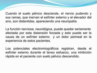 Desordenes del esfinter anal ppw | PPTX