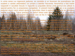Despaduriri | PPT