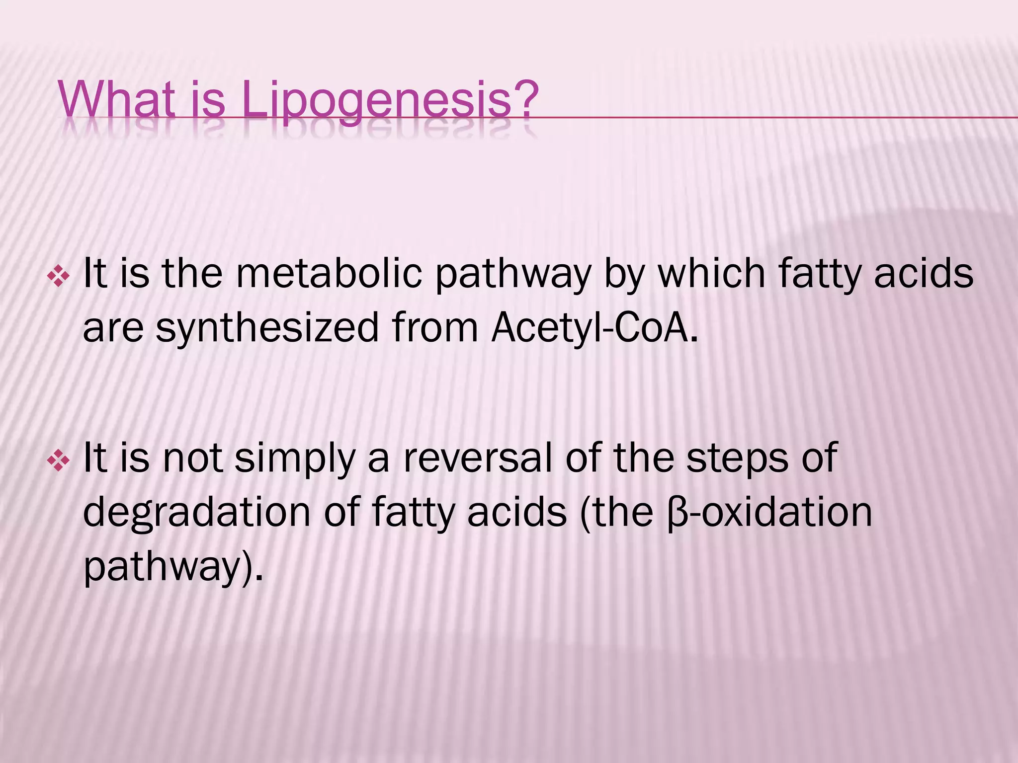Lipogenesis (Fatty Acid Biosynthesis) | PPTX