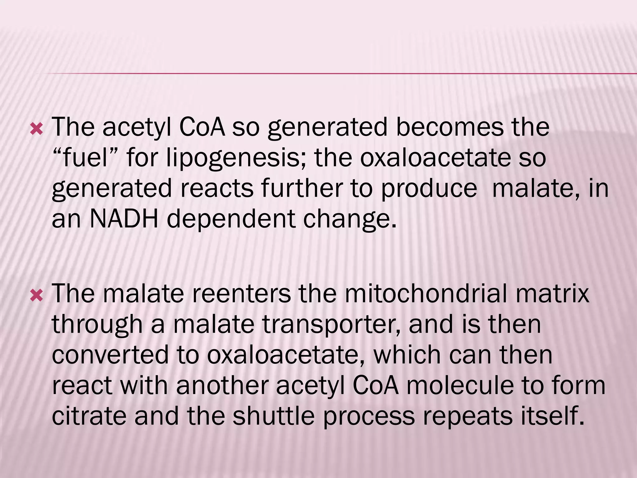 Lipogenesis (Fatty Acid Biosynthesis) | PPTX