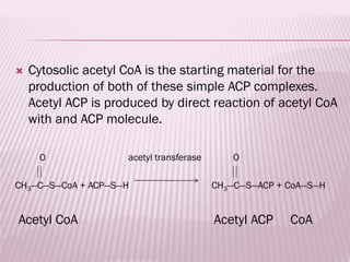 Lipogenesis (Fatty Acid Biosynthesis) | PPTX