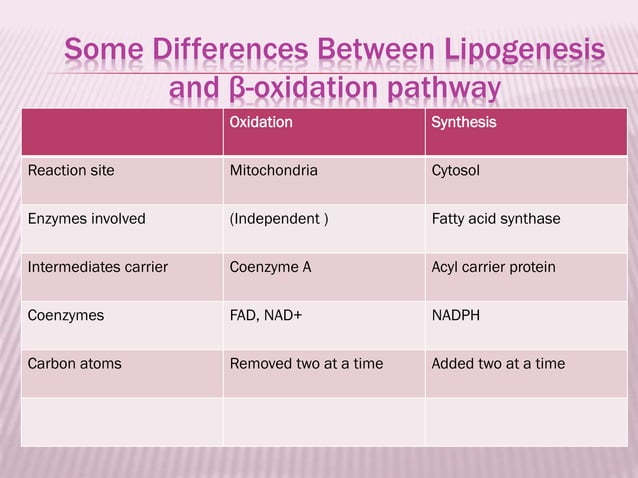 Lipogenesis (Fatty Acid Biosynthesis) | PPTX | Chemistry | Science