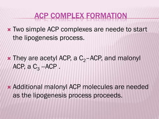 Lipogenesis (Fatty Acid Biosynthesis) | PPTX