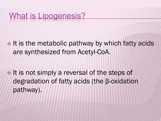 Lipogenesis (Fatty Acid Biosynthesis) | PPT
