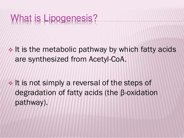 Lipogenesis (Fatty Acid Biosynthesis)