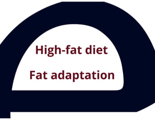 De spier als metabool orgaan- Marco Mensink | PDF
