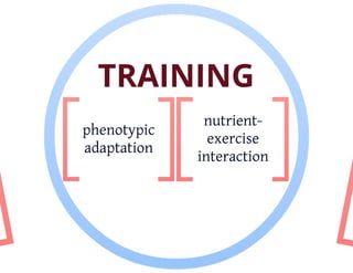 De spier als metabool orgaan- Marco Mensink | PDF