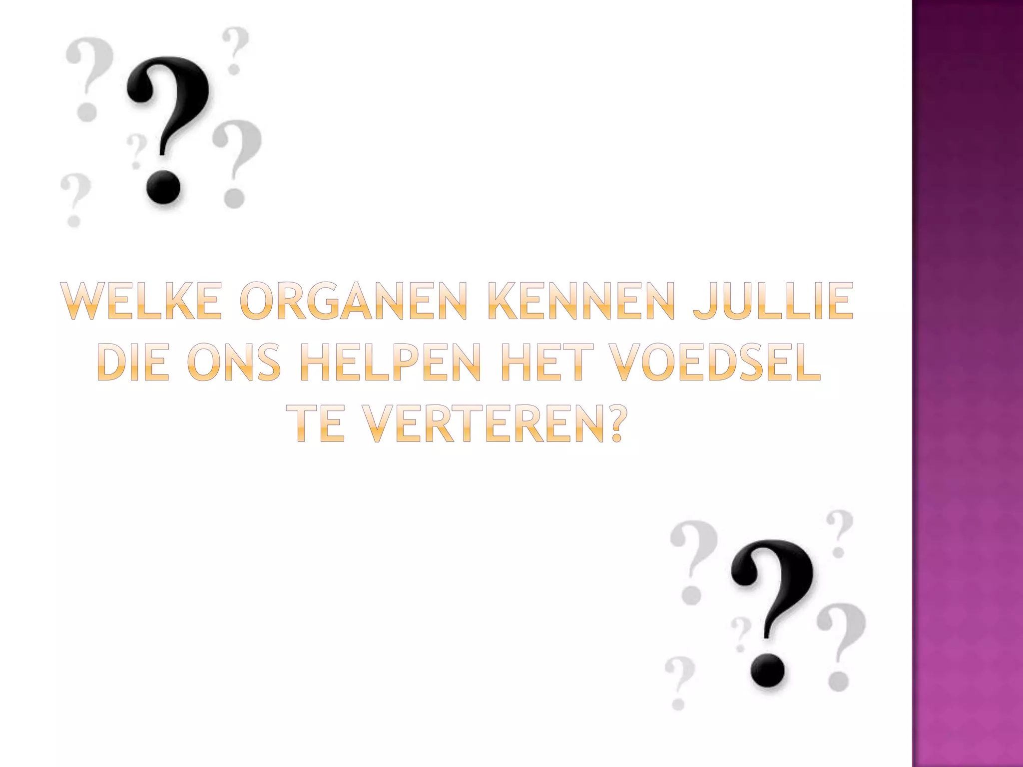 De spijsvertering | PPTX