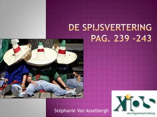 De spijsvertering | PPTX