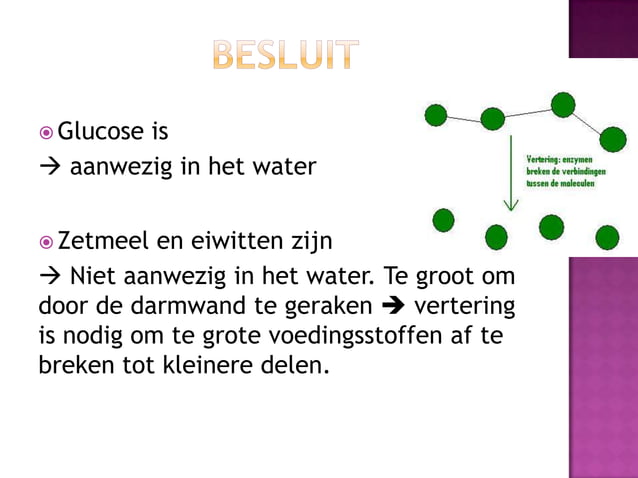 De spijsvertering | PPTX
