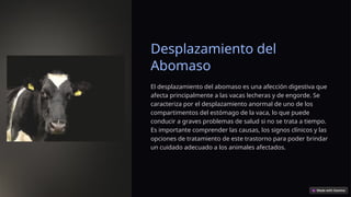 Desplazamiento del Abomaso por la nutrición animal.pptx