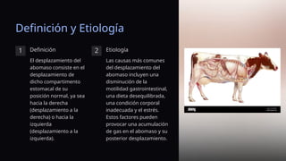 Desplazamiento del Abomaso por la nutrición animal.pptx