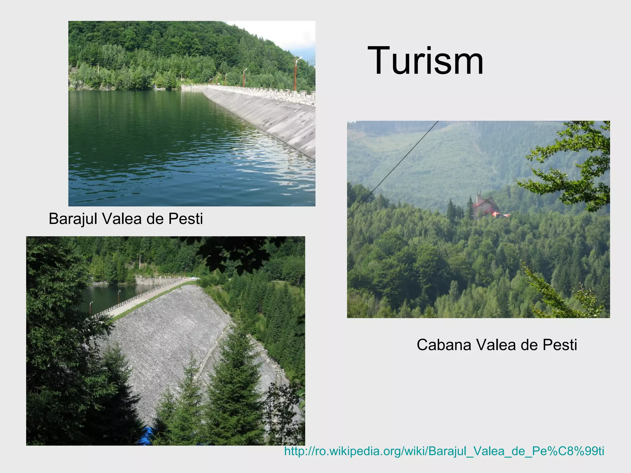 Despre pesti | PPT