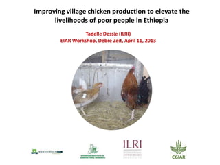 Improving village chicken production to elevate the livelihoods of poor ...