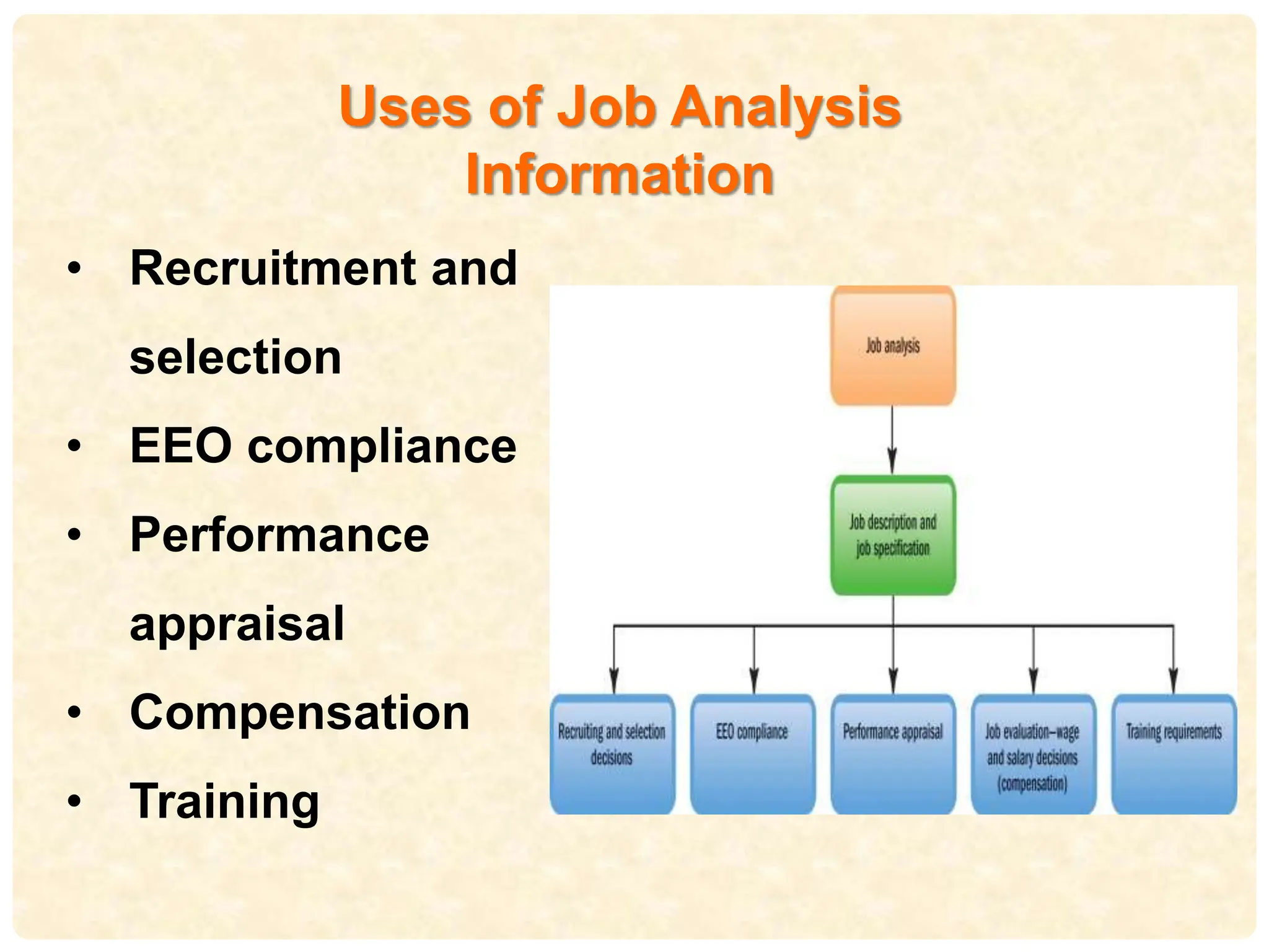 Job Analysis and the Talent Management Process.pptx