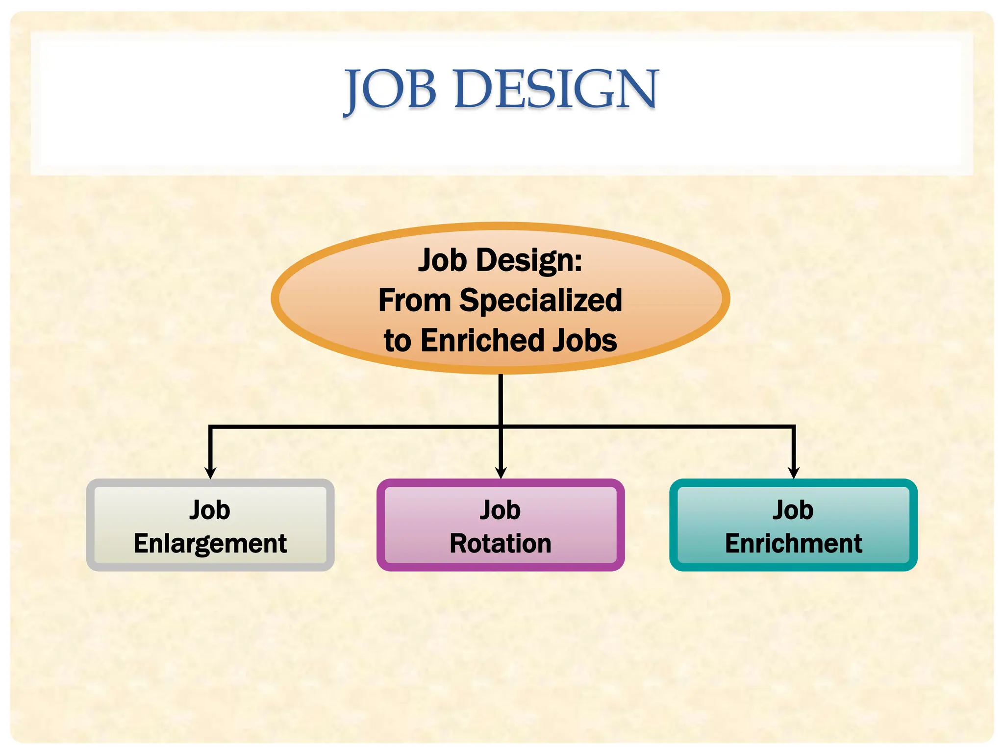 Job Analysis and the Talent Management Process.pptx