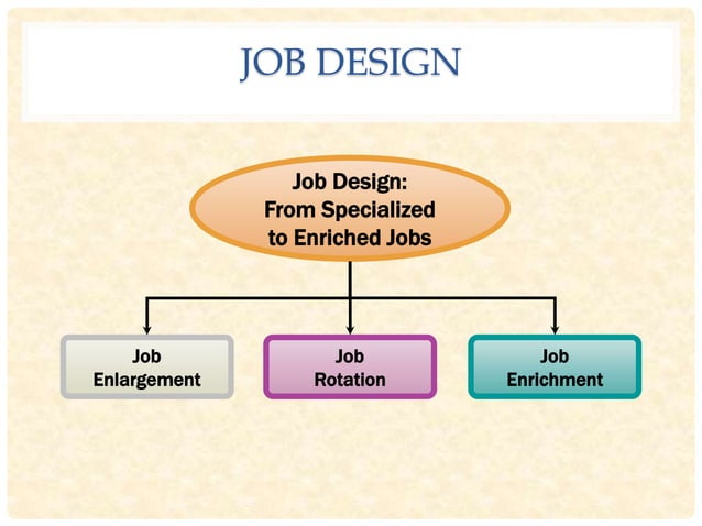 Job Analysis and the Talent Management Process.pptx