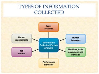 Job Analysis and the Talent Management Process.pptx