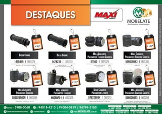 Suspensão Pneumática MAXI PARTS | PPT