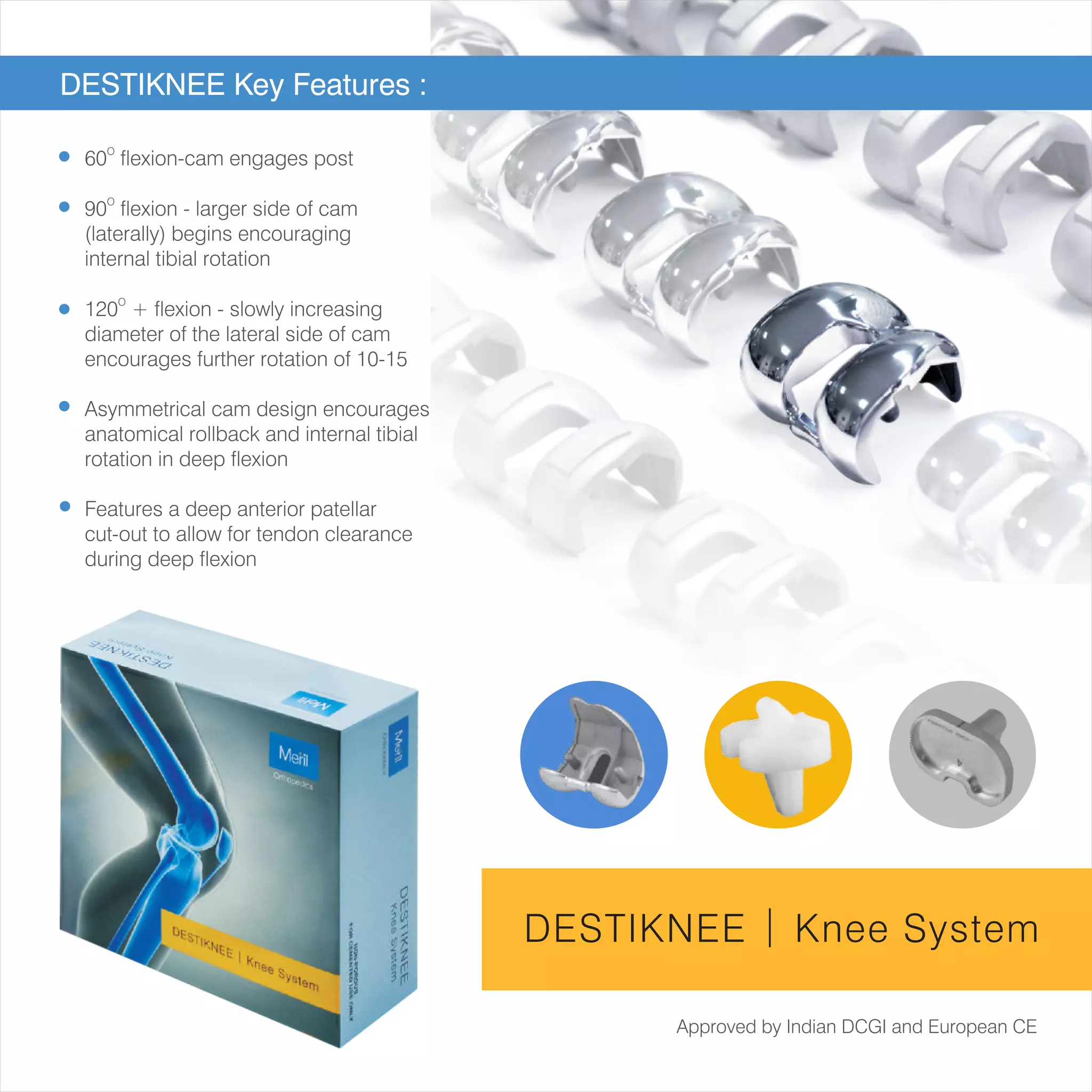 Destiknee Brochure | PDF