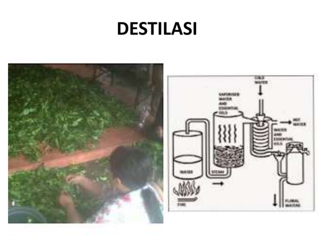 Destilasi & Enfleurasi | PPTX