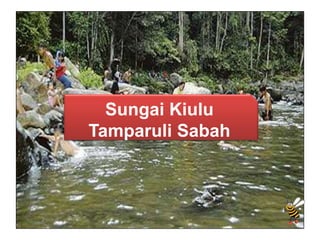 Destinasi perkelahan | PPT