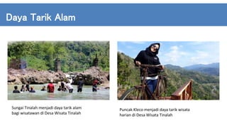 Destinasi Wisata Jogja di Desa Wisata Tinalah | PPTX