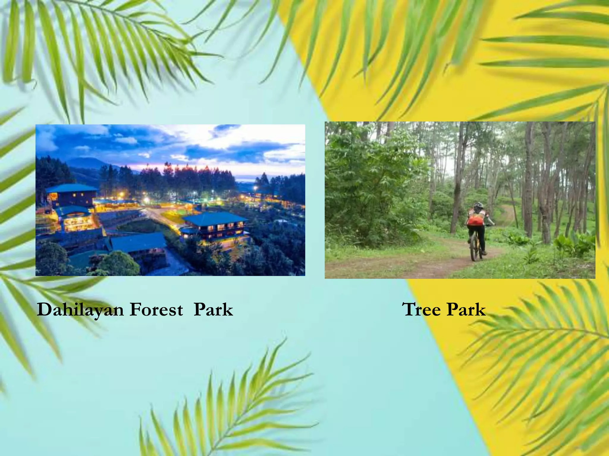 Bukidnon Destination | PPTX