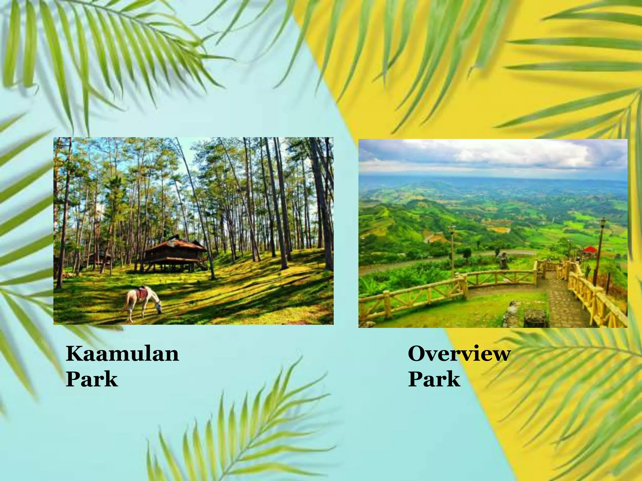 Bukidnon Destination | PPTX