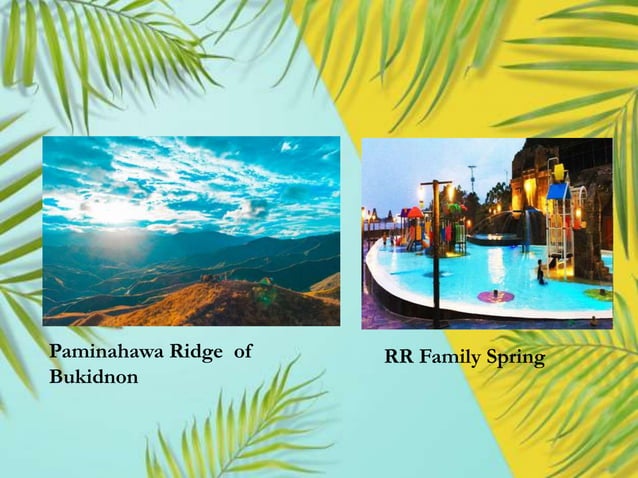 Bukidnon Destination | PPTX