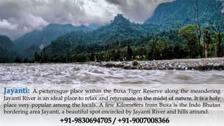 Destination of Exclusive Jungle safari at Jayanti in Dooars | PPTX