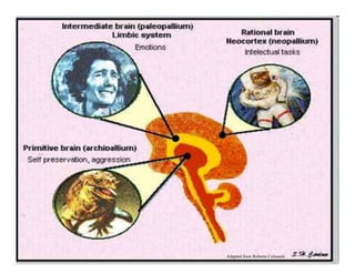 Destressing Pres2 Pdf | PDF