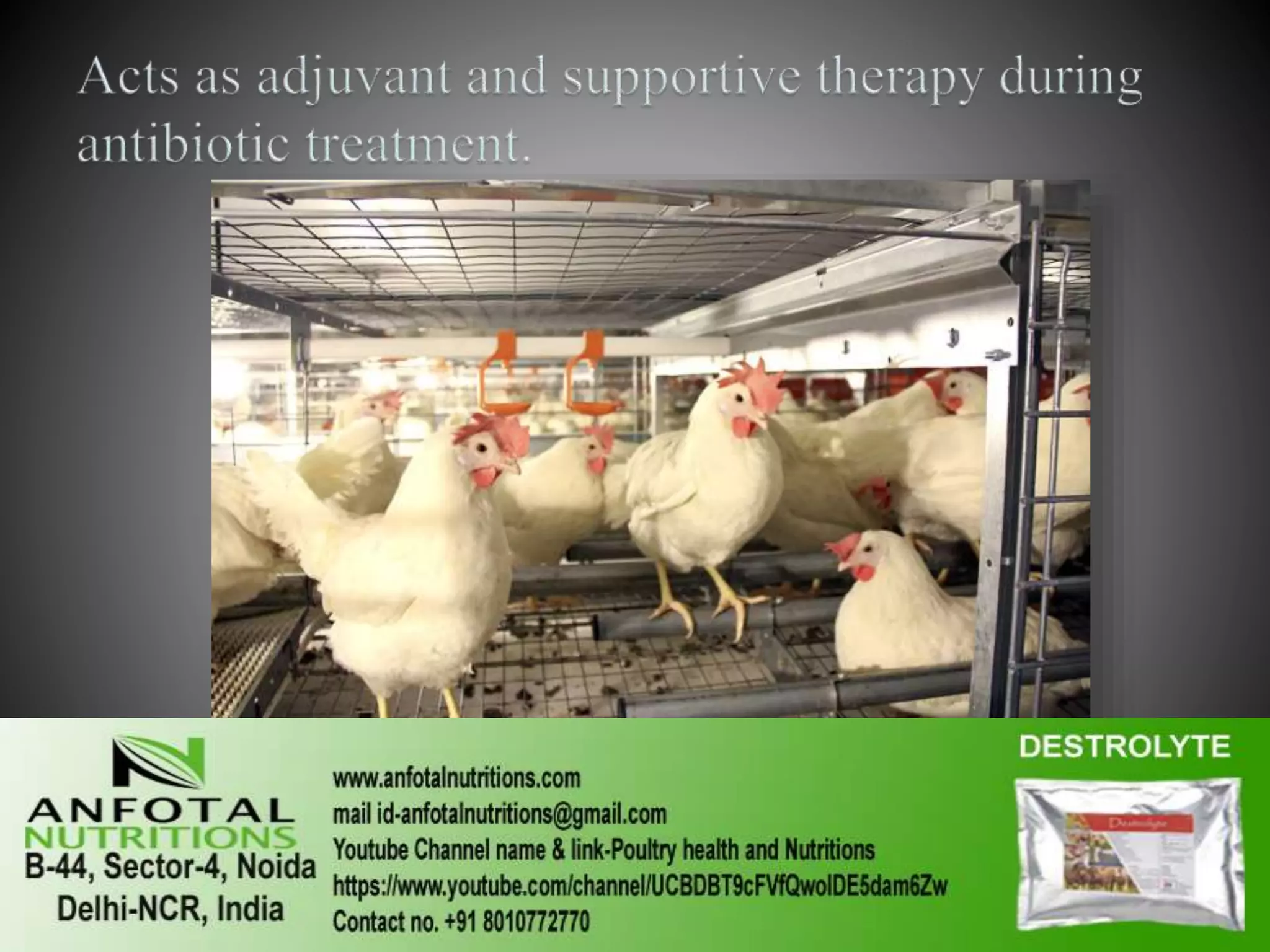 Poultry Feed Additives | PPTX