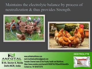 Poultry Feed Additives | PPTX