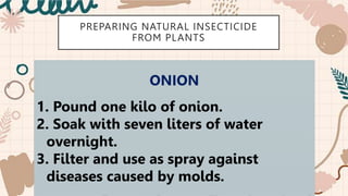 Destroying Pests and Insects TLE 5 Destroying Pests and Insects TLE 5 | PPT