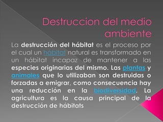Destruccion del medio ambiente | PPTX | Environment | Science