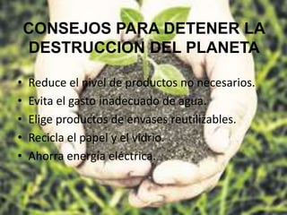 Destruccion del medio ambiente | PPTX