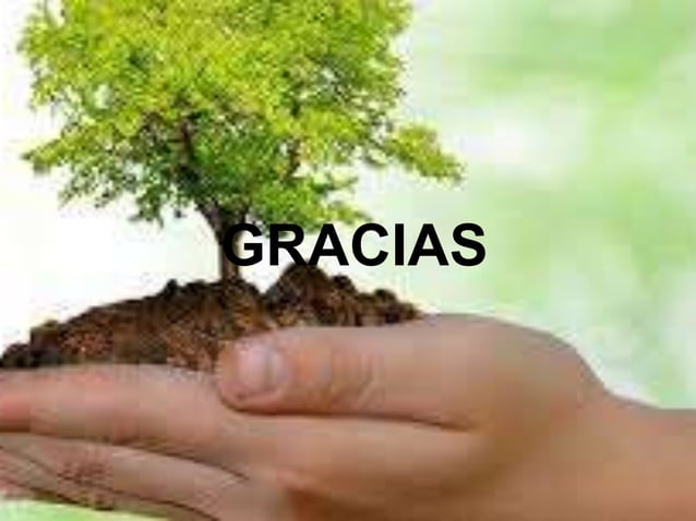 Destruccion del medio ambiente | PPT