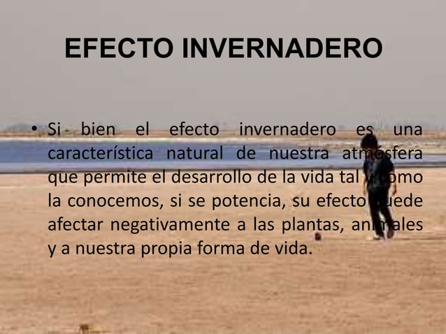 Destruccion del medio ambiente | PPT